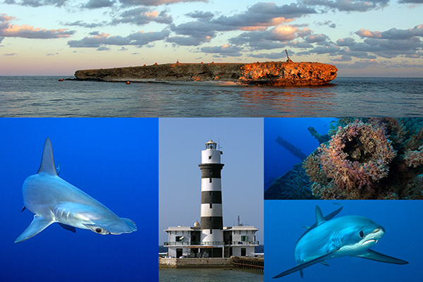 Scuba Scene Liveaboard