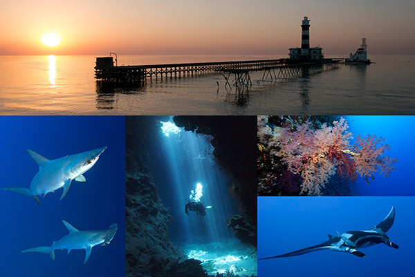 Scuba Scene Liveaboard