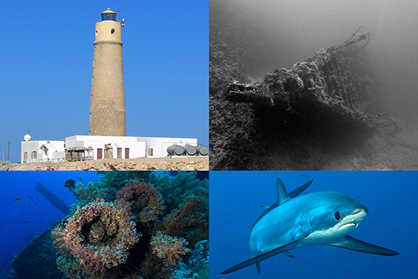 Scuba Scene Liveaboard